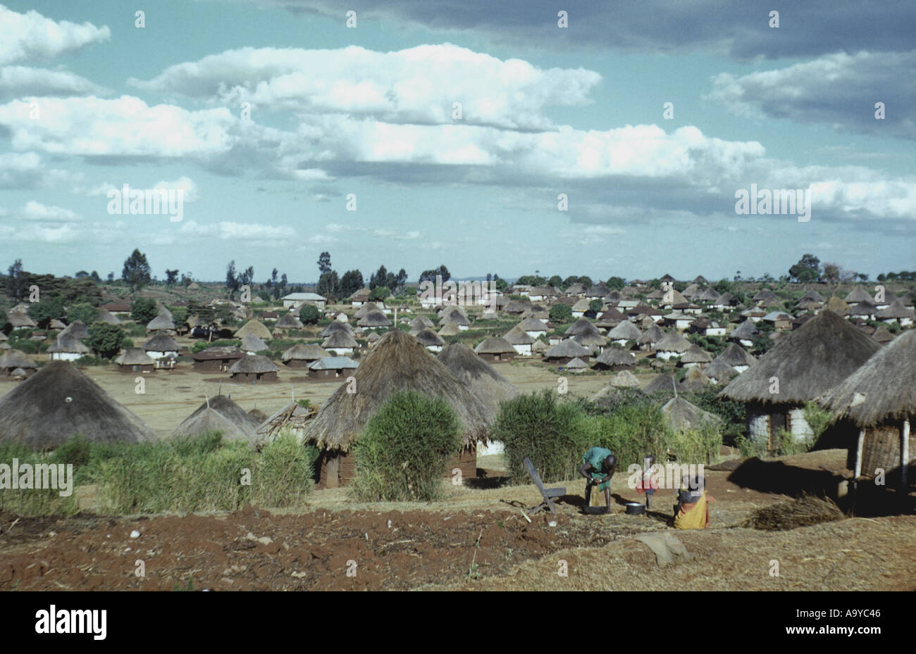 Kikuyu hi-res stock photography and images - Alamy