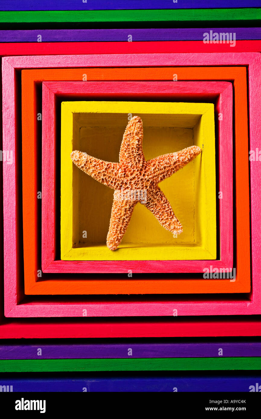 Star fish shapes hi-res stock photography and images - Alamy