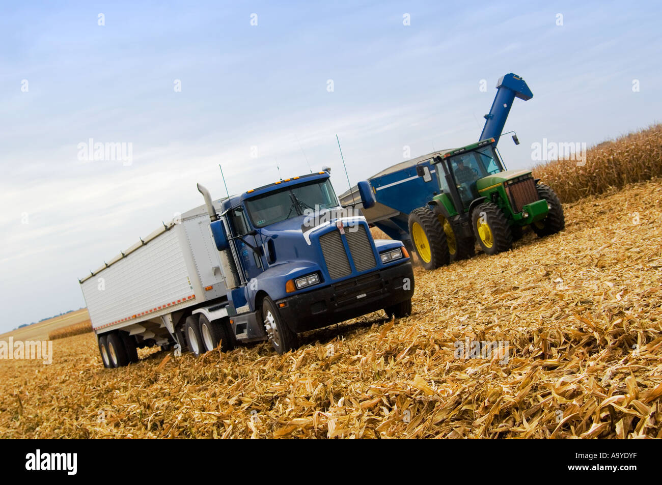 Combining corn hi-res stock photography and images - Alamy
