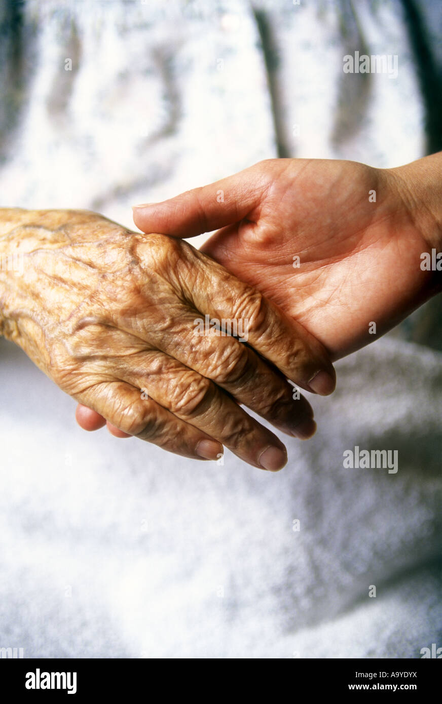 95 40 hi-res stock photography and images - Alamy