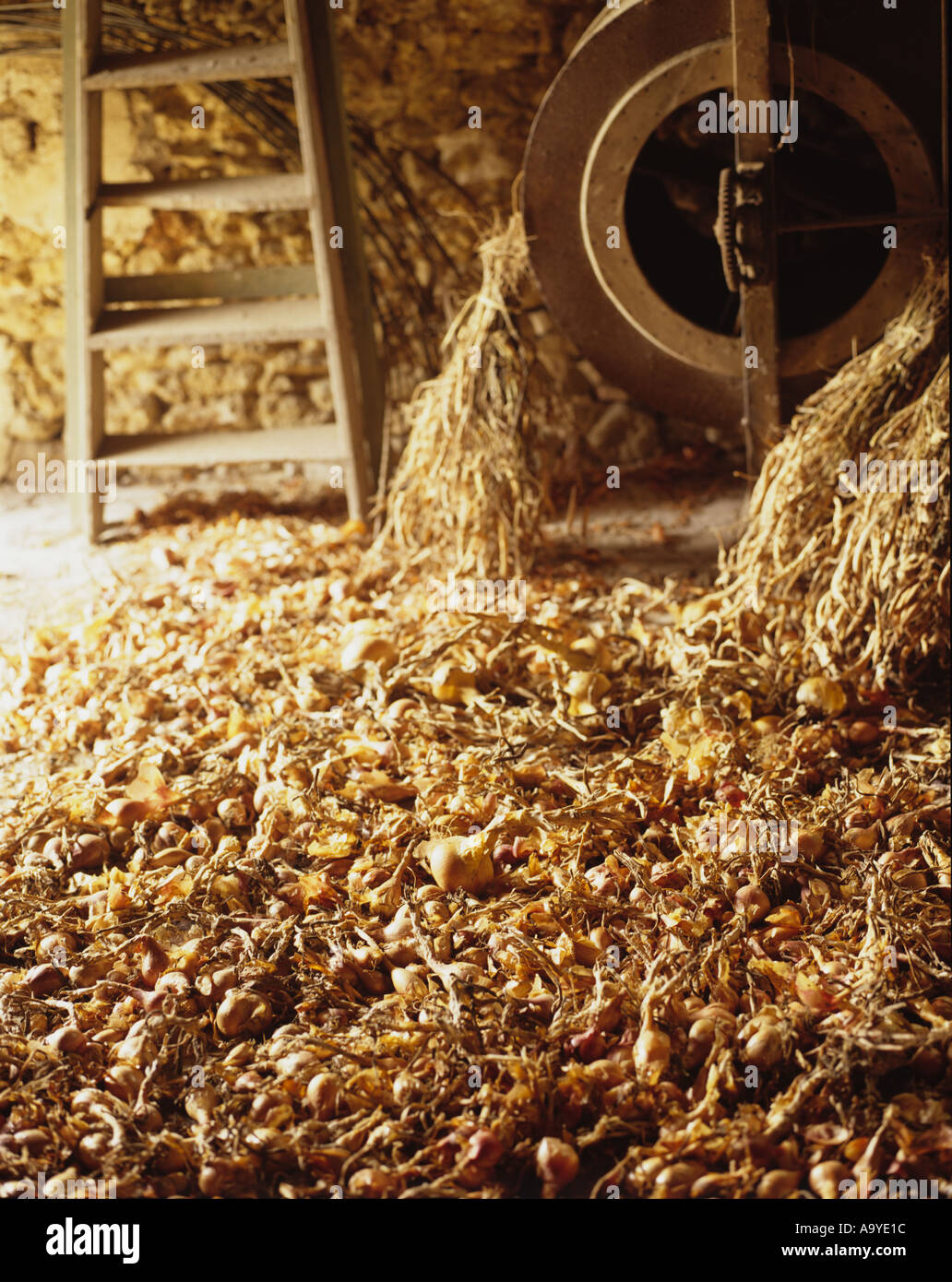 french barn interior Stock Photo - Alamy