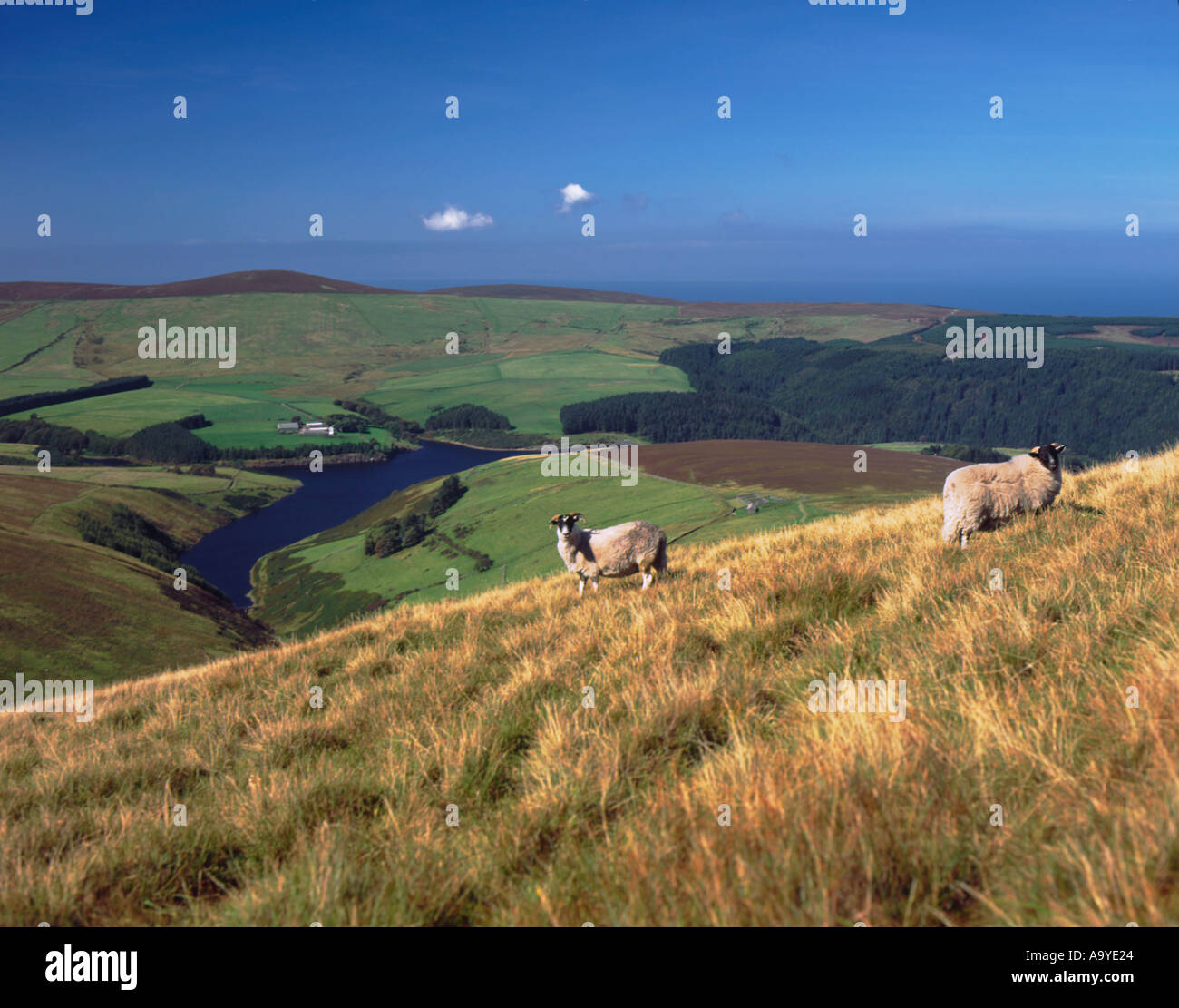 Iom view hi-res stock photography and images - Alamy