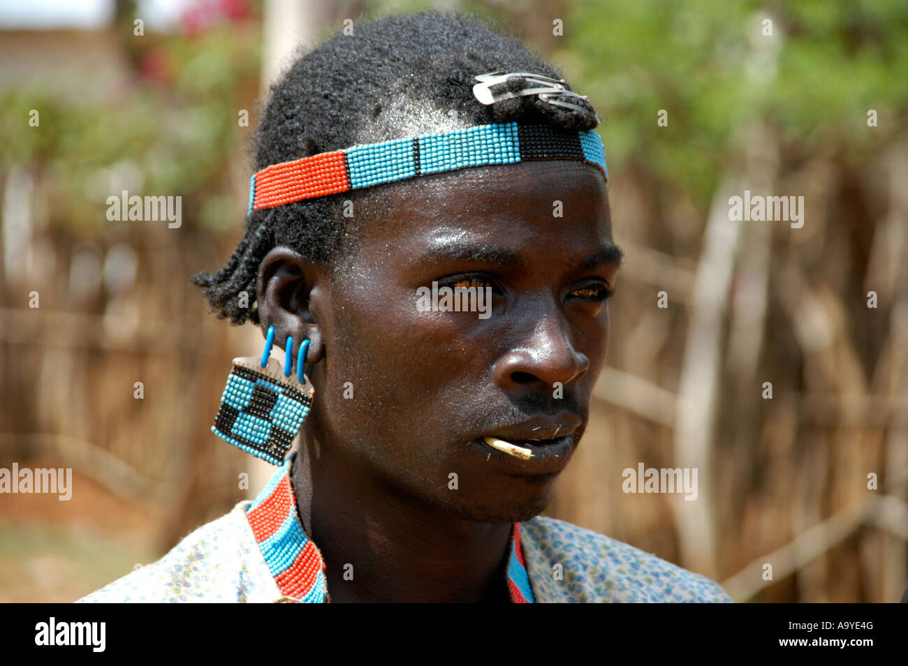 Young man of the Hamar people with colourful adornment on his head ears ...