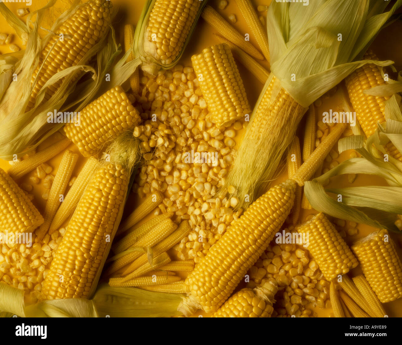 VEGETABES Corn Varieties Stock Photo - Alamy
