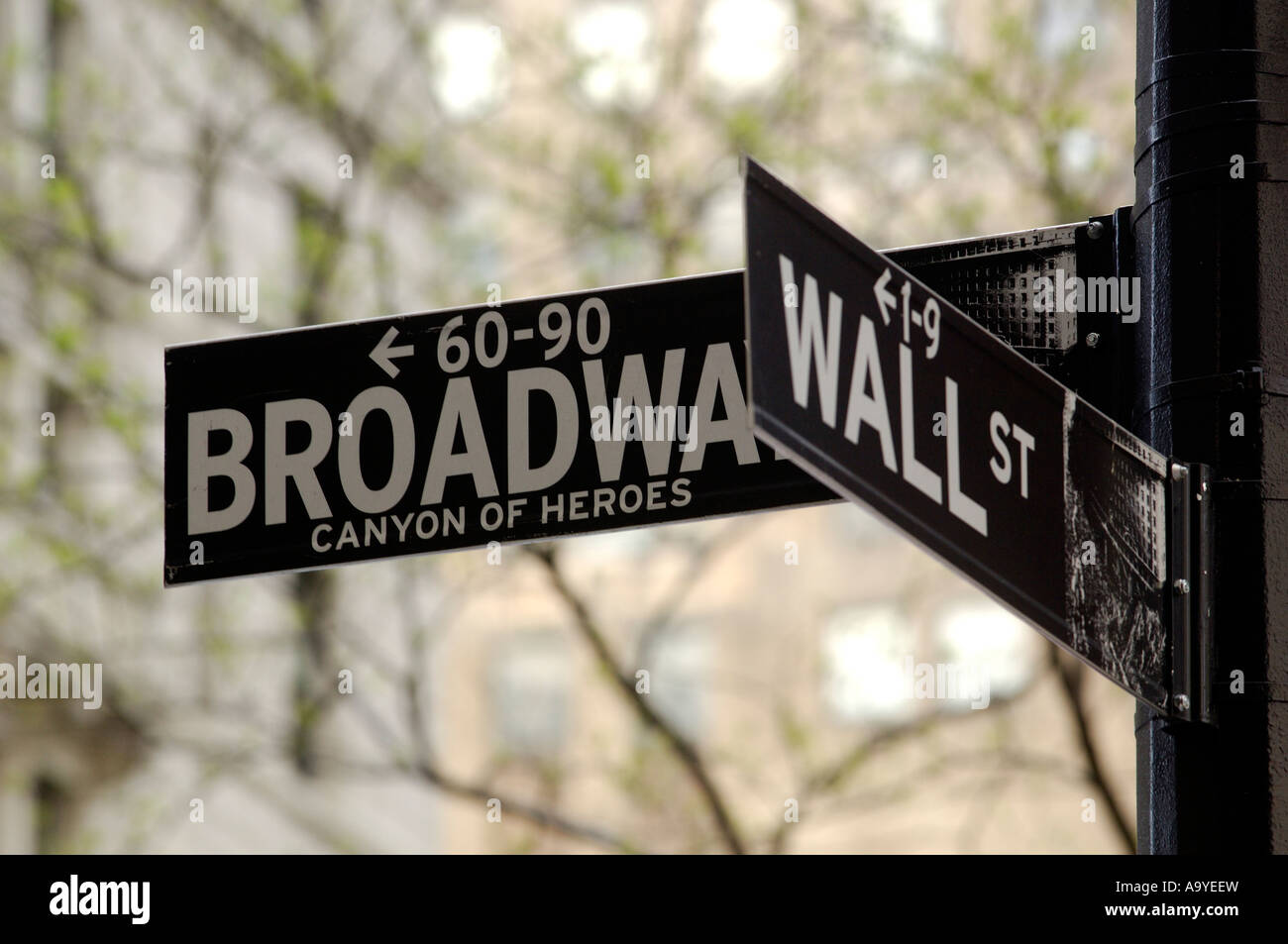 Street sign, corner Wallstreet and Broadway, New York, USA Stock Photo ...