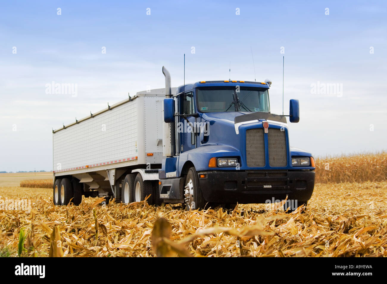 Tractor trailer in harvested corn field Stock Photo - Alamy