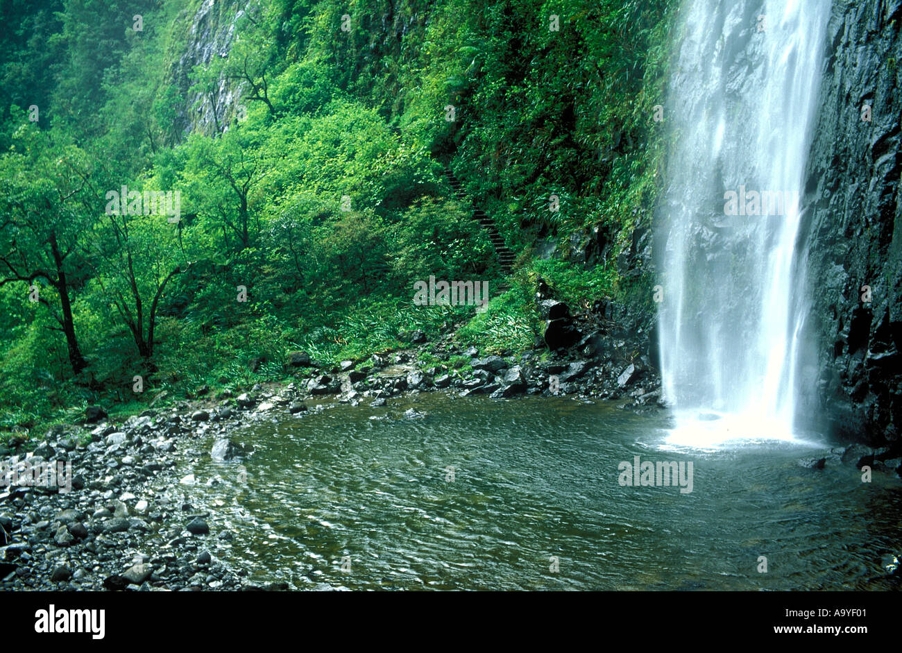 Reunion island grand étang hi-res stock photography and images - Alamy