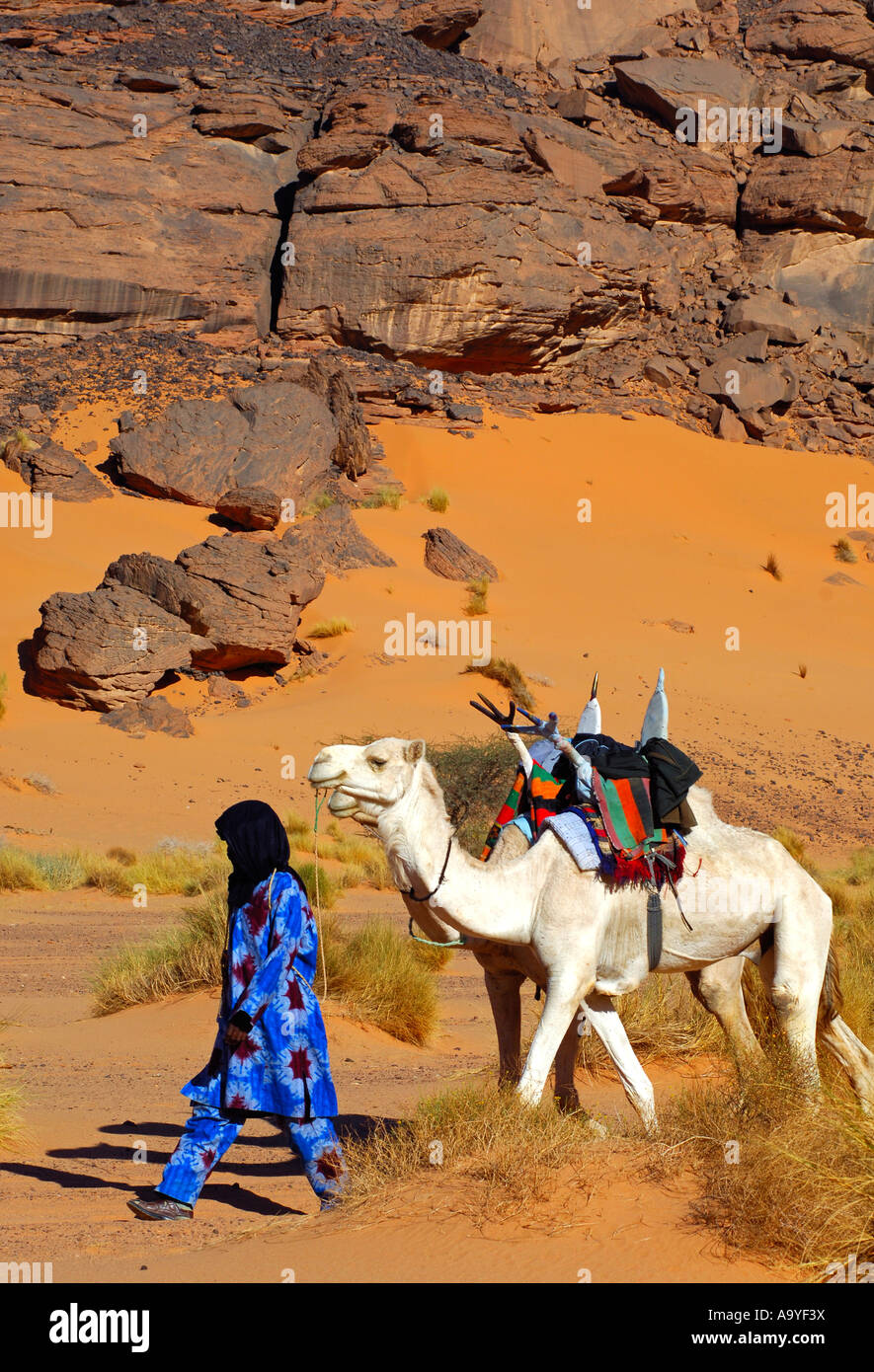 White mehari hi-res stock photography and images - Alamy