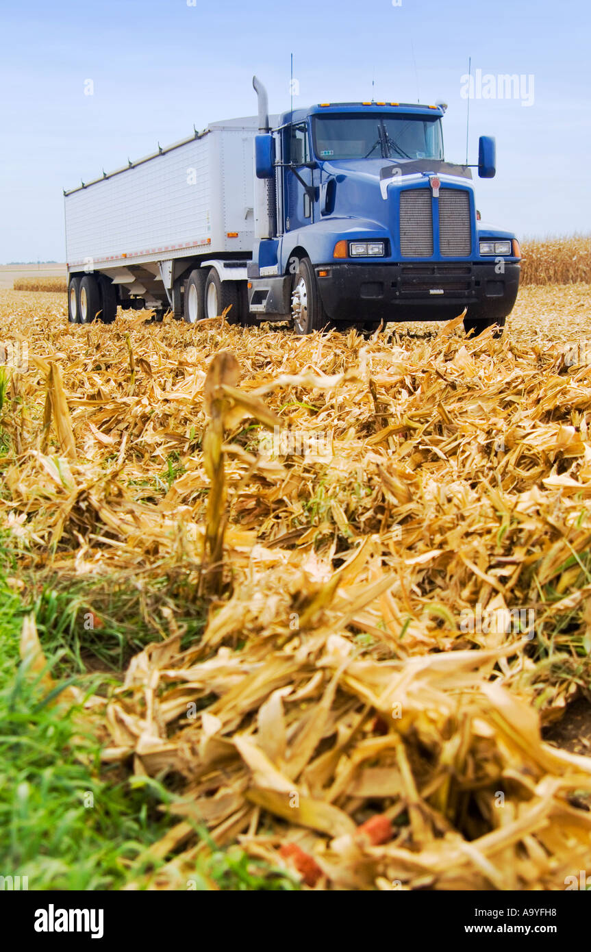 Tractor trailer in harvested corn field Stock Photo - Alamy