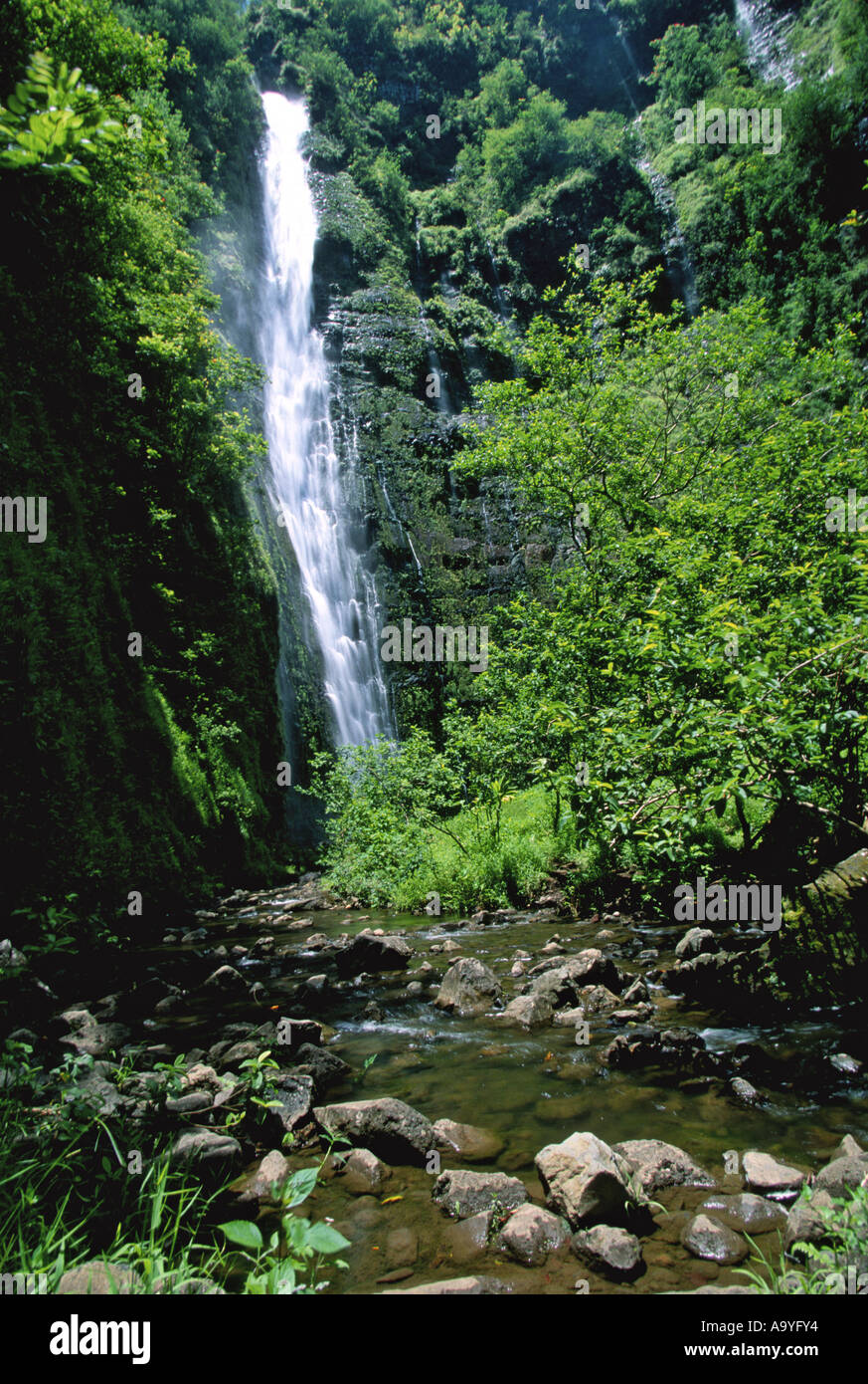 1836ha hi-res stock photography and images - Alamy