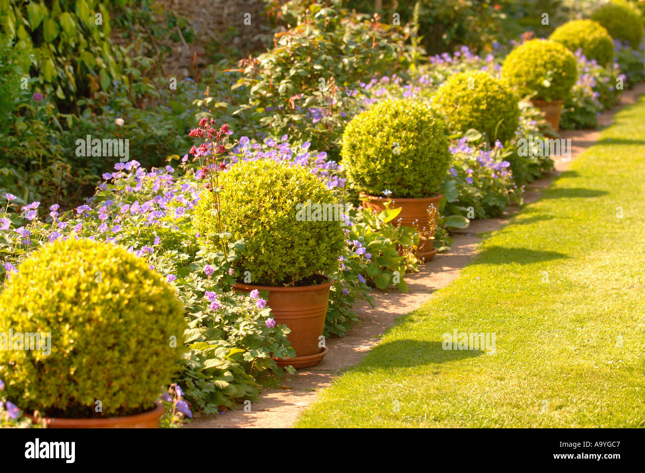 Buxus borders hi-res stock photography and images - Alamy