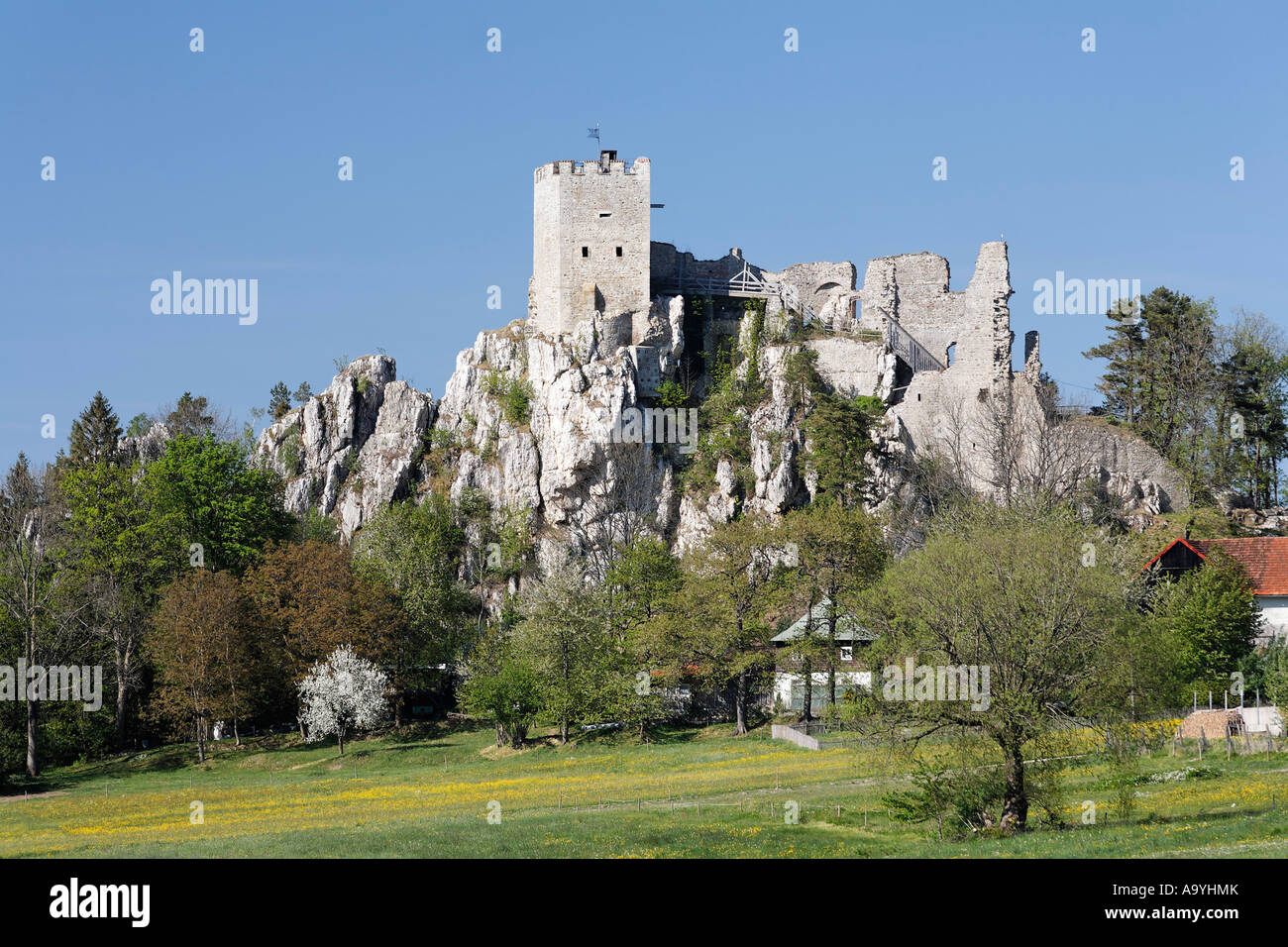 Weissenstein castle, Regen, Bayerischer Wald, Lower Bavaria, Germany ...