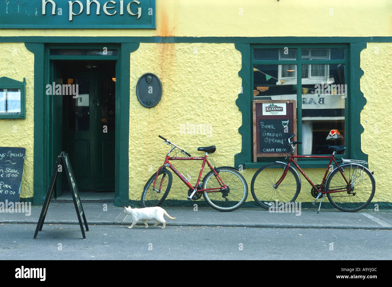 A white cat peers into a Pub in Ireland as it passes by Stock Photo - Alamy