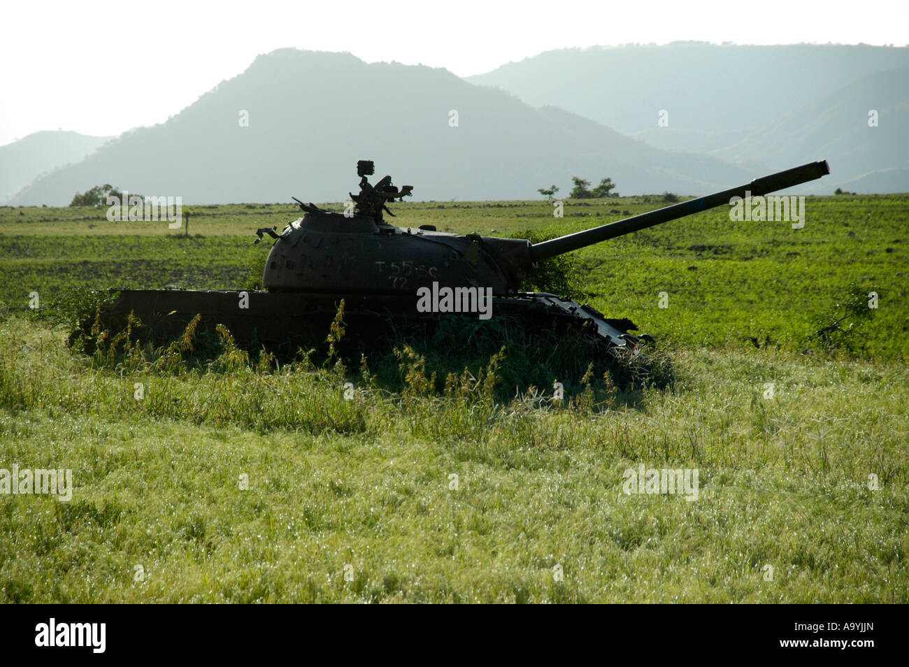 Panzer tank hi-res stock photography and images - Alamy
