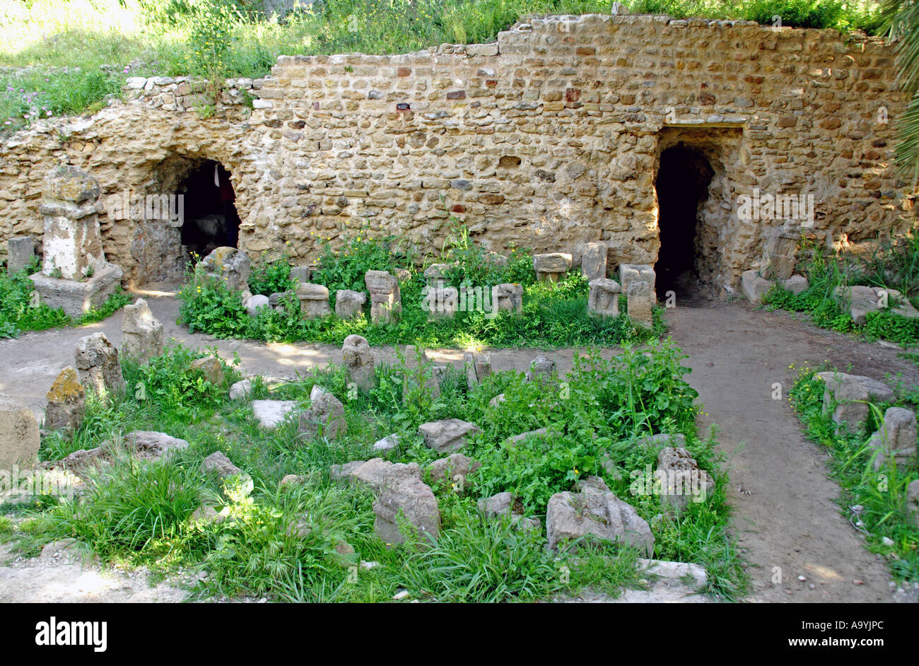 The site of the former temples of Tanit and Ball Hammon in theTOPHET ...