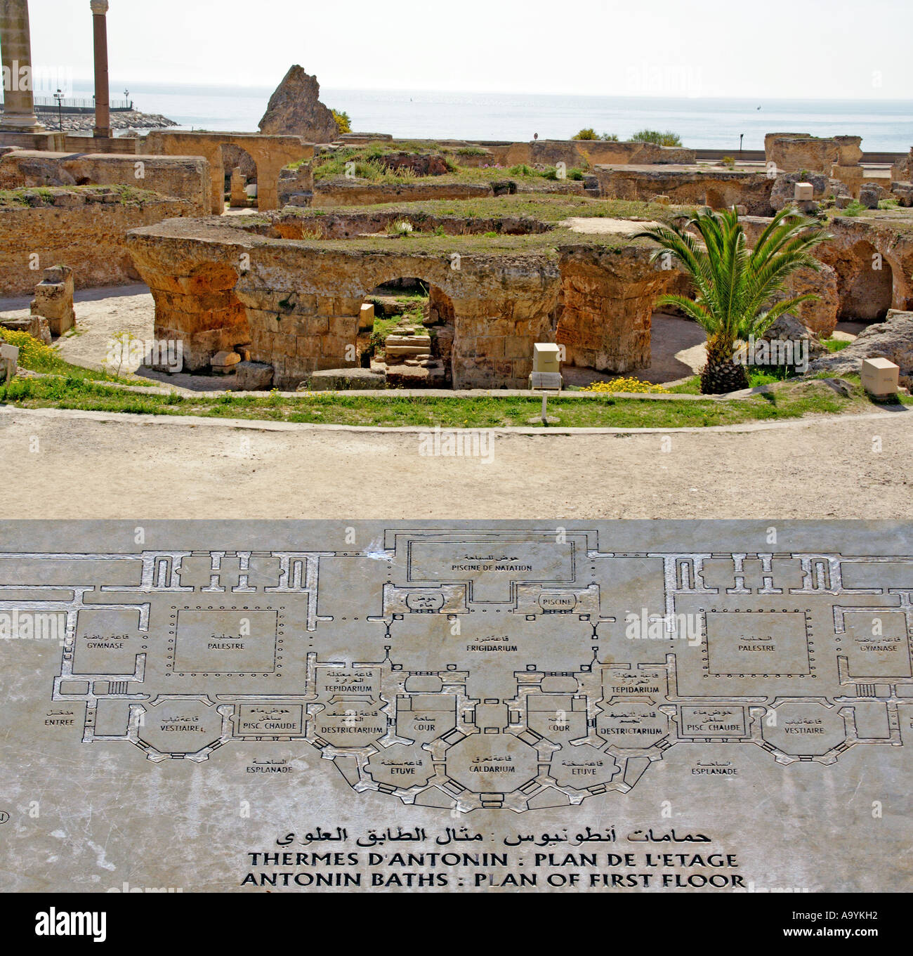 First floor plan hi-res stock photography and images - Alamy