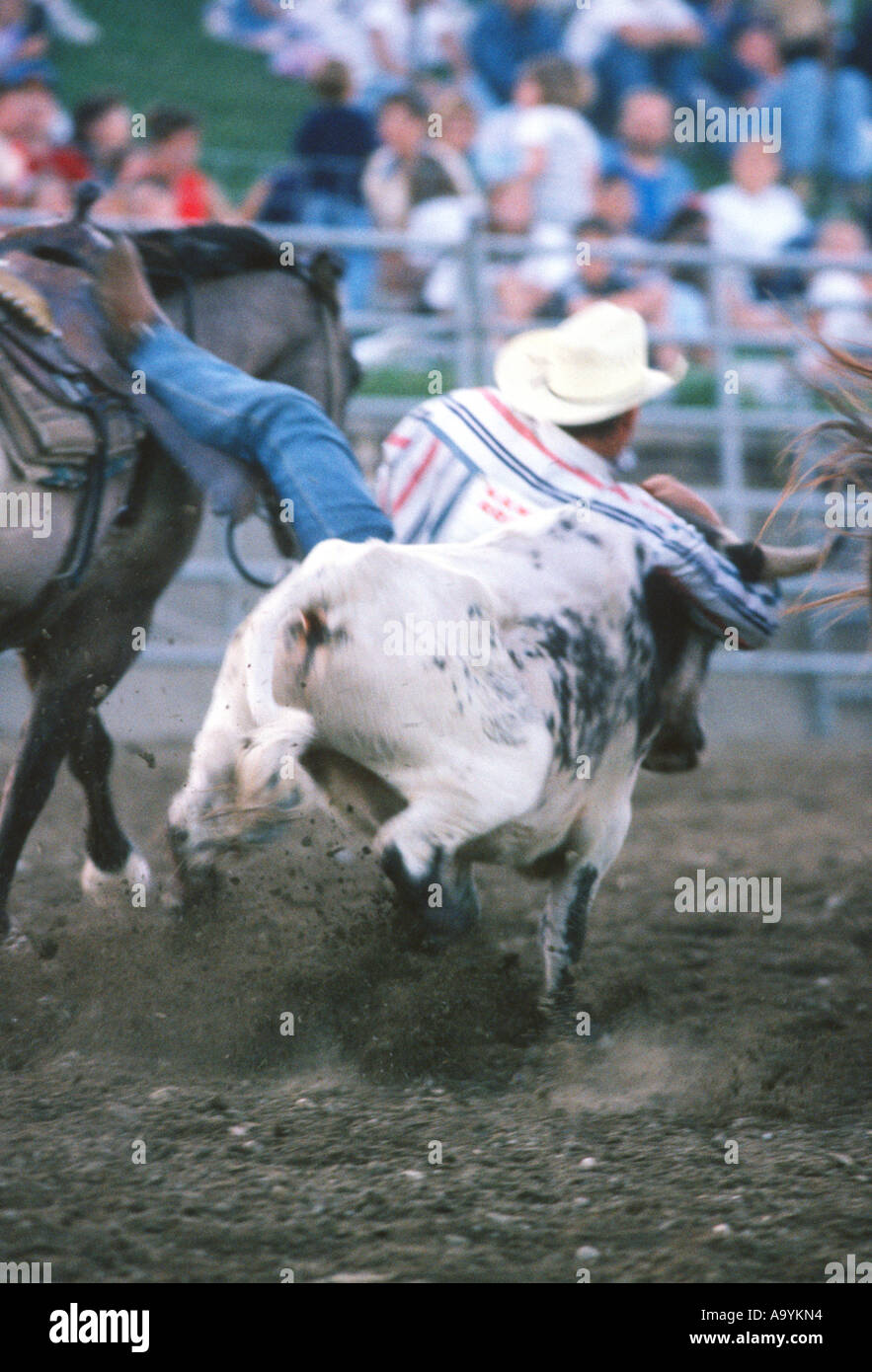 Wrestles steer to ground hi-res stock photography and images - Alamy
