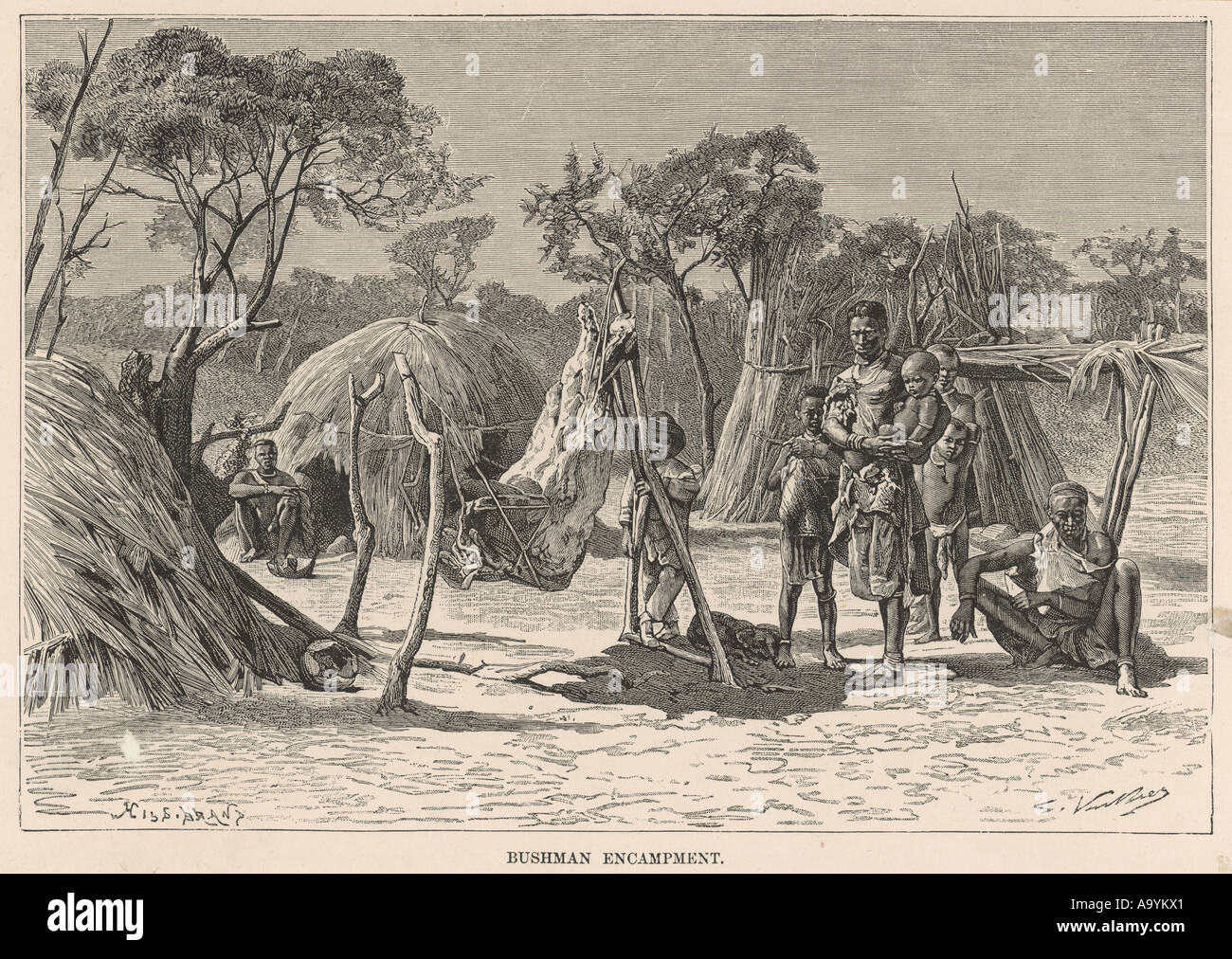 Racial S Africa Bushmen Stock Photo - Alamy