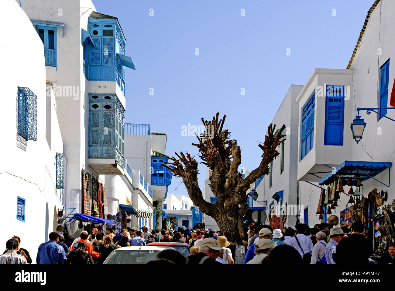 A typical Tunisian Village Sidi Bou Said Blue White village nr Tunis ...
