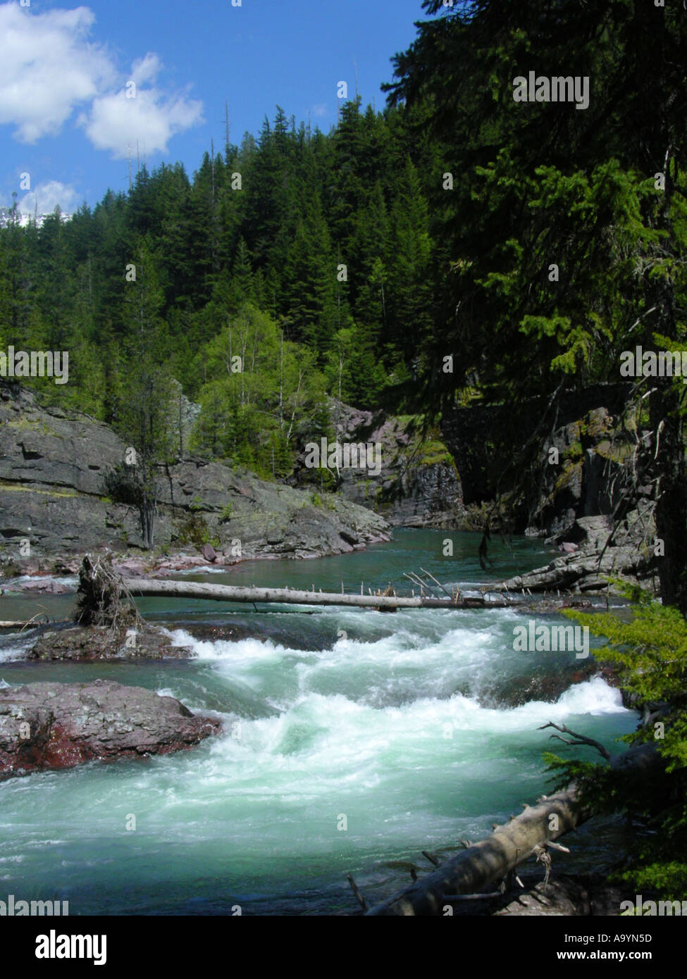 Jodie rivers hi-res stock photography and images - Alamy