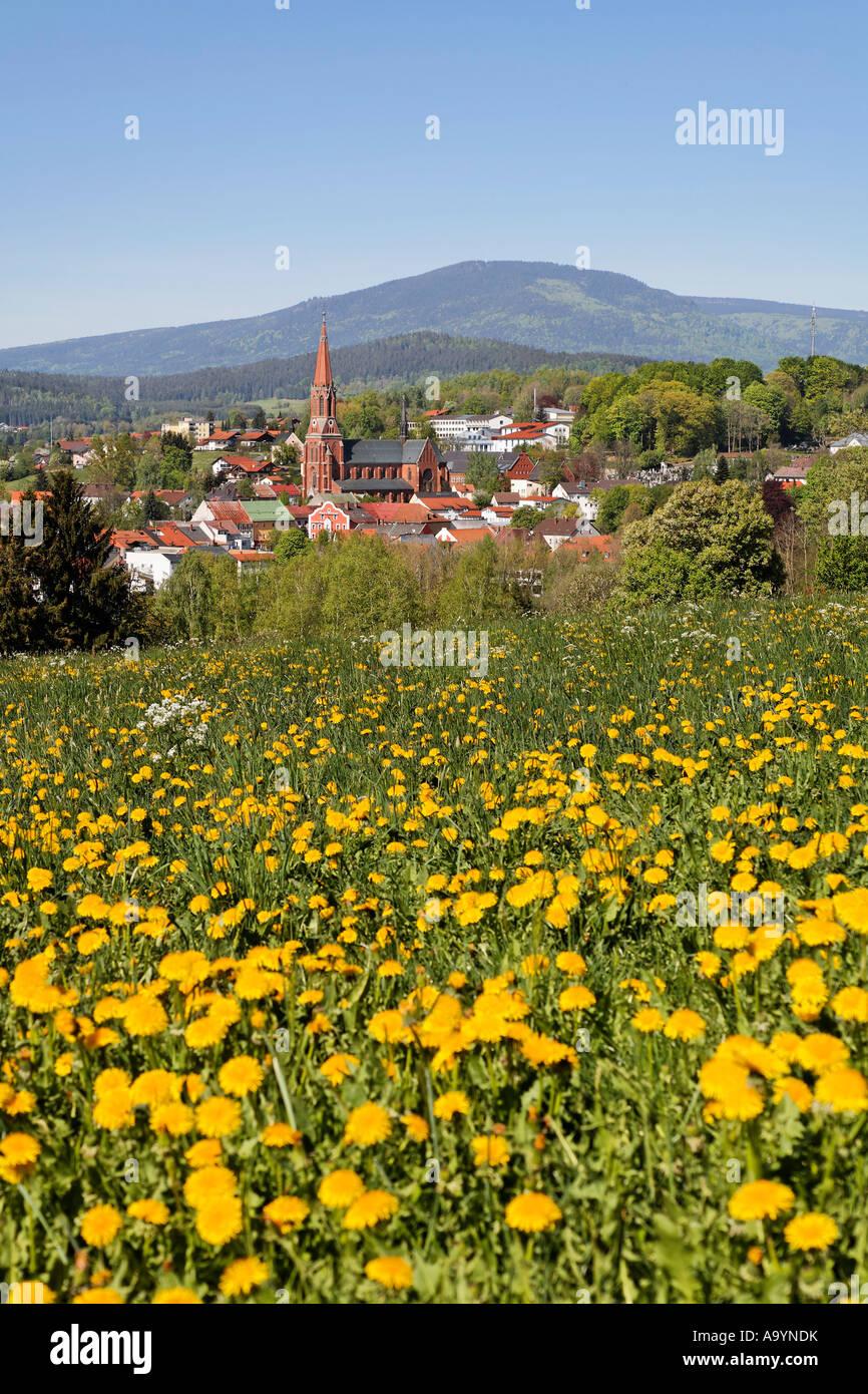 Zwiesel, Bayerischer Wald, Lower Bavaria, Germany Stock Photo - Alamy