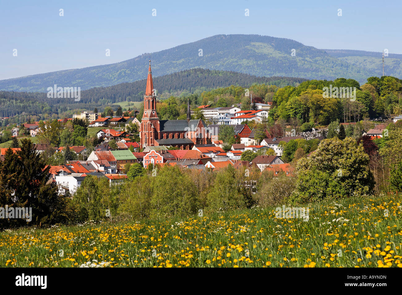 Zwiesel, Bayerischer Wald, Lower Bavaria, Germany Stock Photo - Alamy