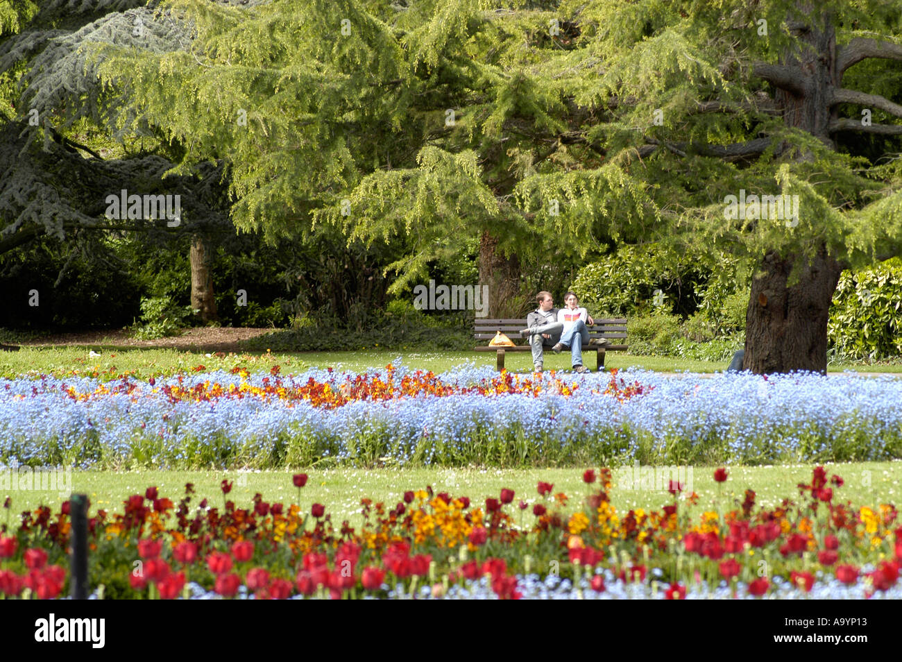 Boy courting a girl hi-res stock photography and images - Alamy