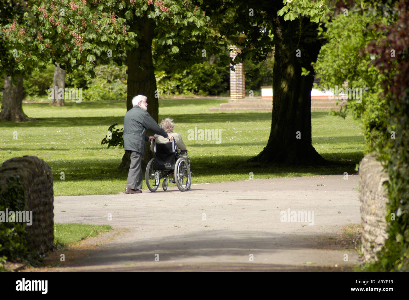 old man pushing old woman in wheelchair through the park Stock Photo ...