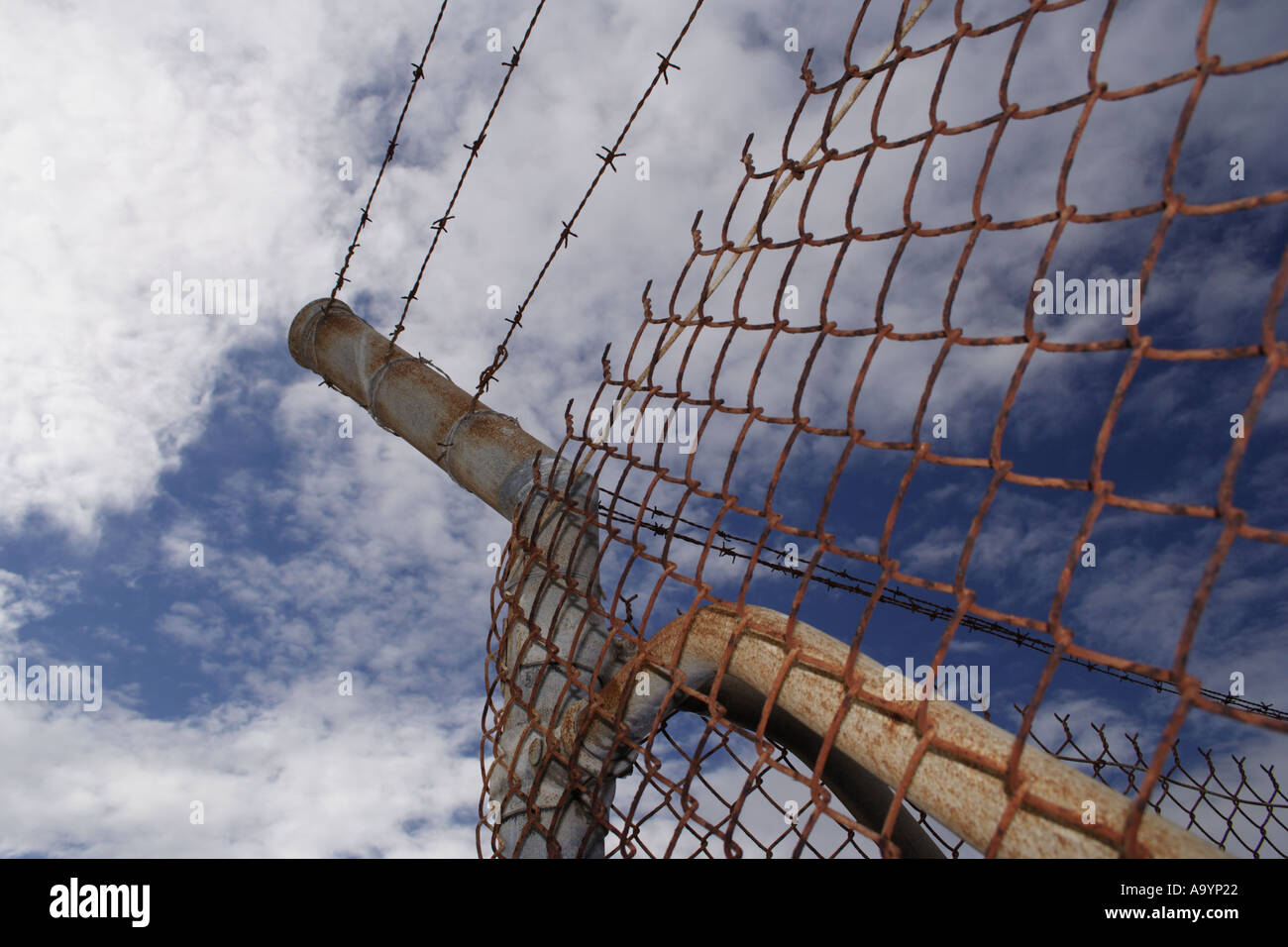 Shoot first ask questions later hi-res stock photography and images - Alamy