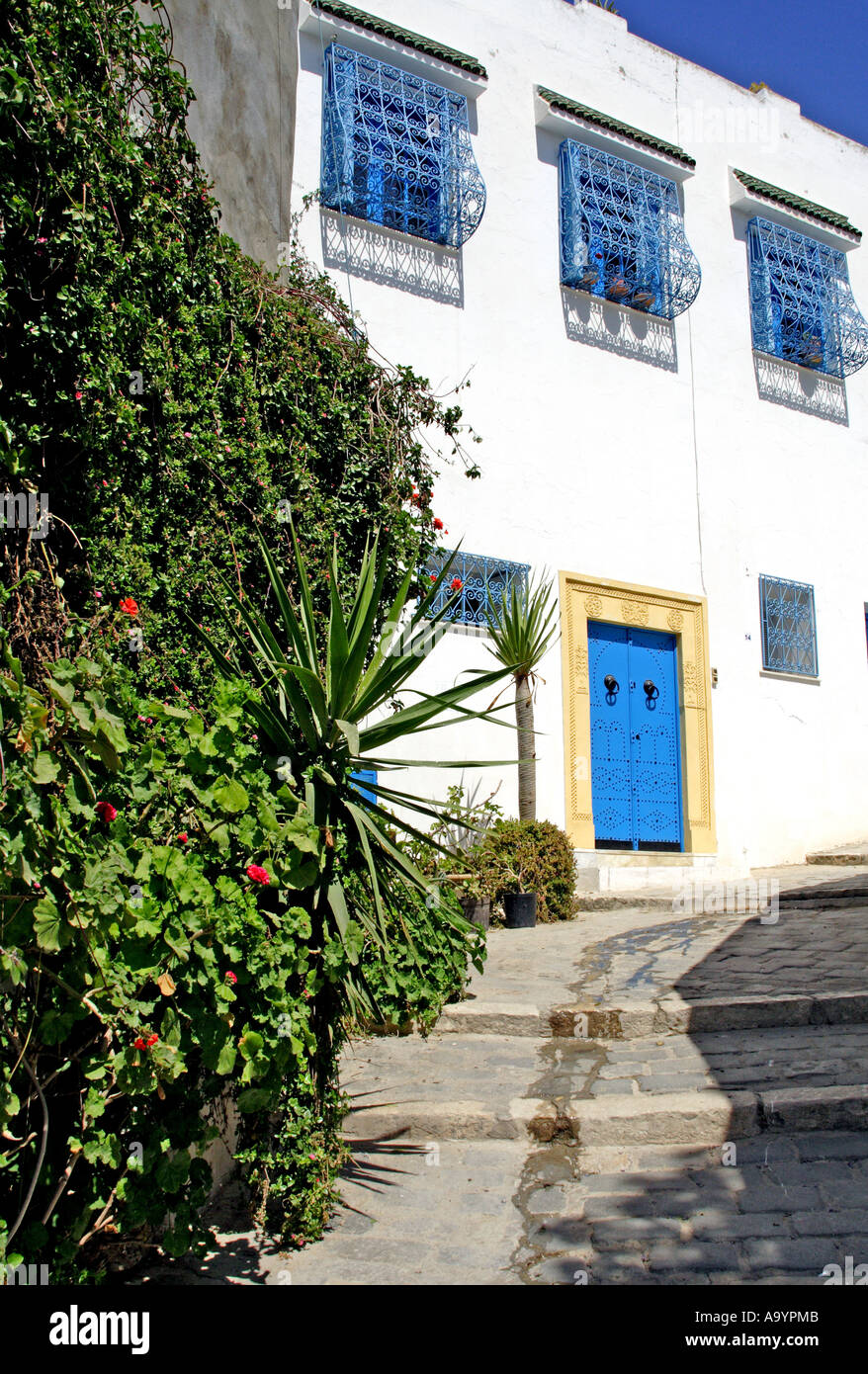 A typical street scene in the Tunisian Village of Sidi Bou Said Blue ...