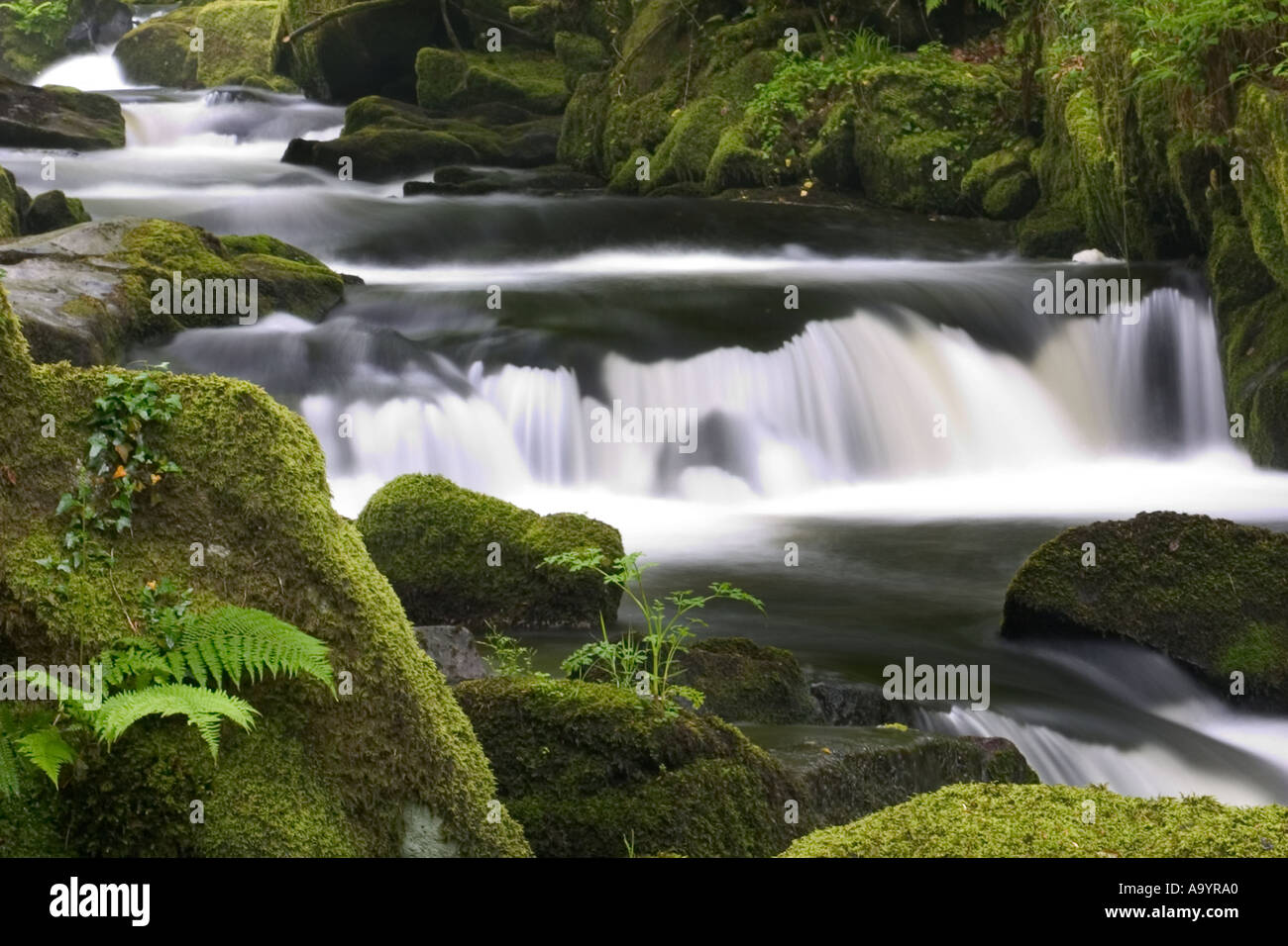 Golitha Falls Cornwall Stock Photo - Alamy