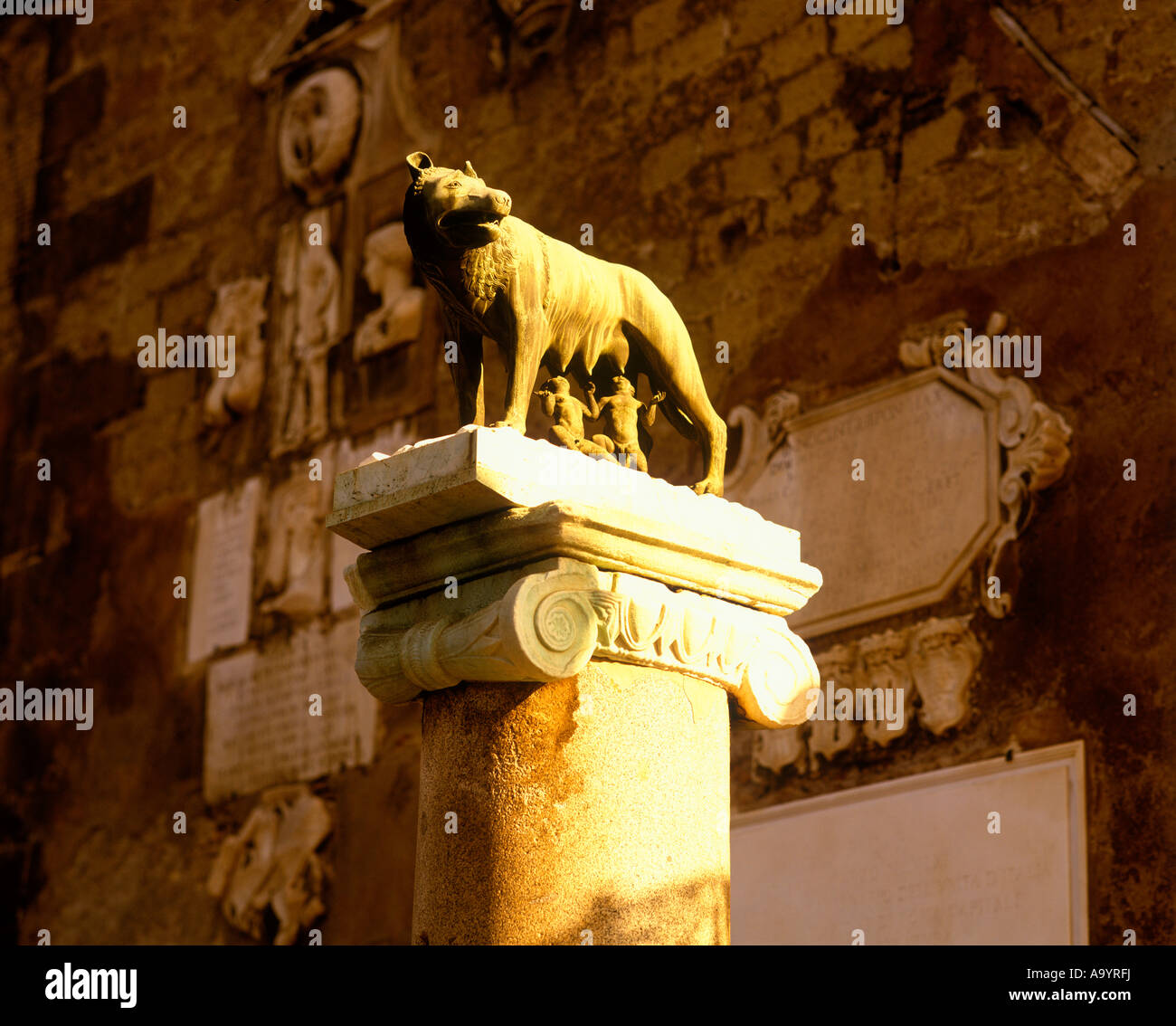 Romulus and remus statue hi-res stock photography and images - Alamy
