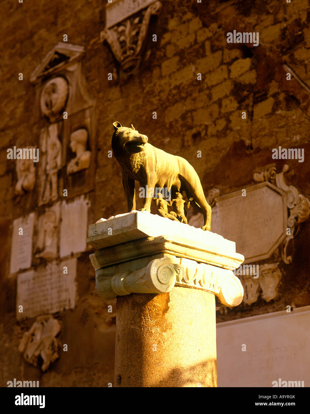 She Wolf Of Rome High Resolution Stock Photography and Images - Alamy