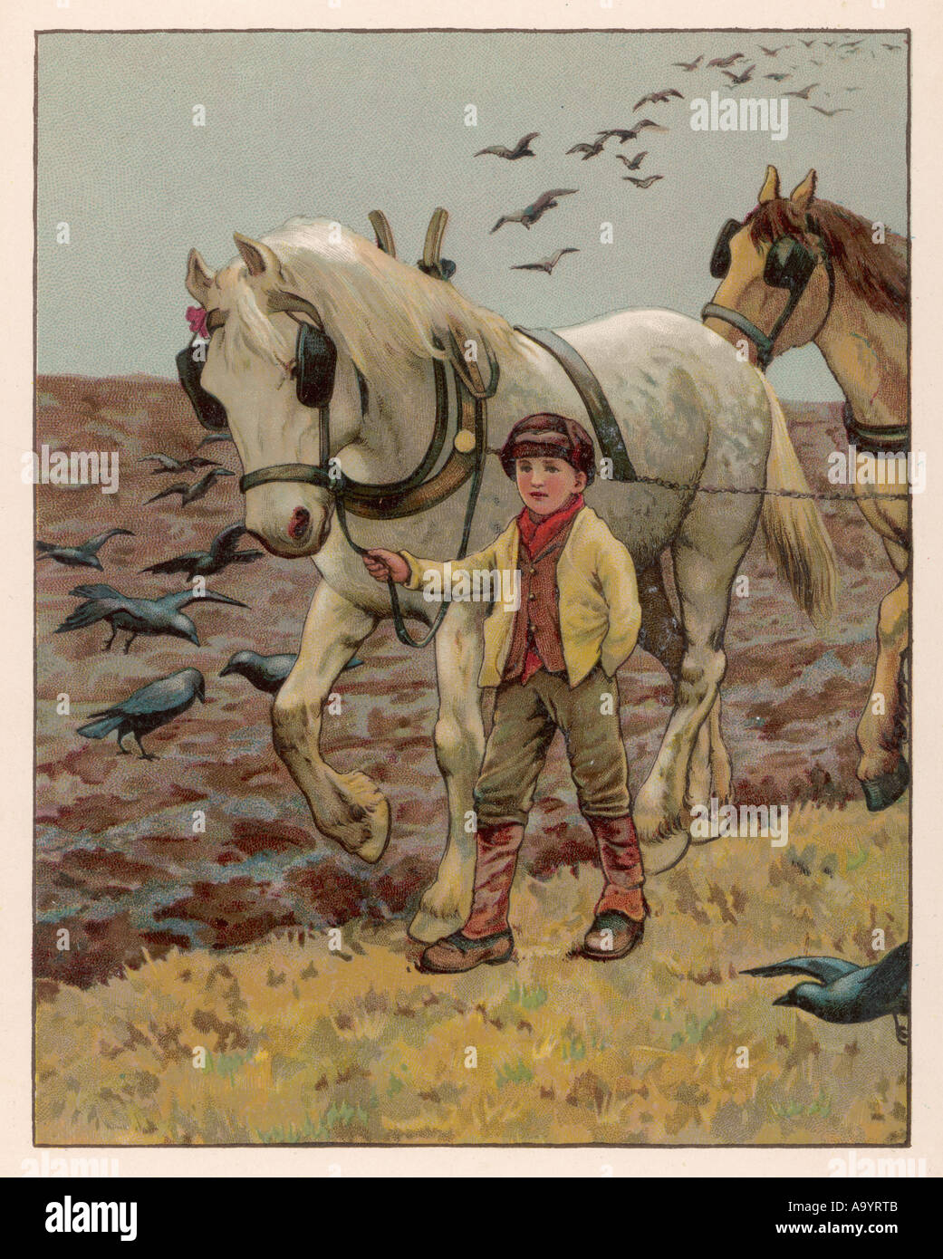 Farm Boy Plough Horse Stock Photo - Alamy