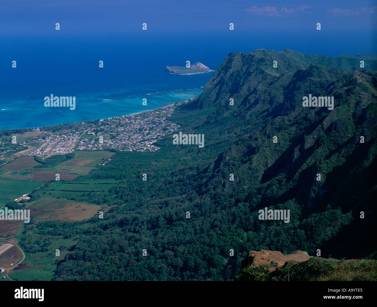 View from the top of the Koolau Mountains Oahu Hawaii Stock Photo - Alamy