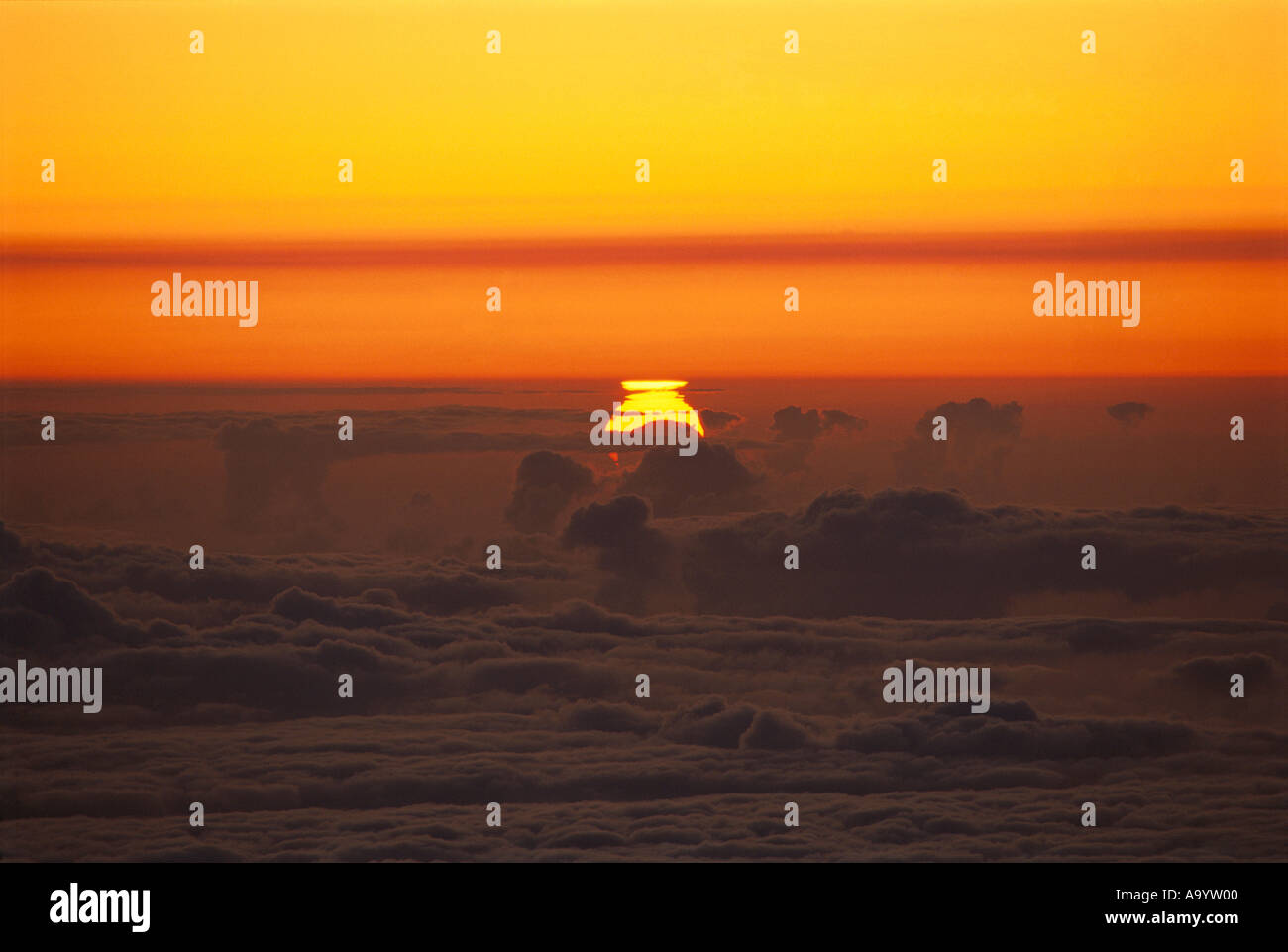 Solar eclipse observatory hi-res stock photography and images - Alamy