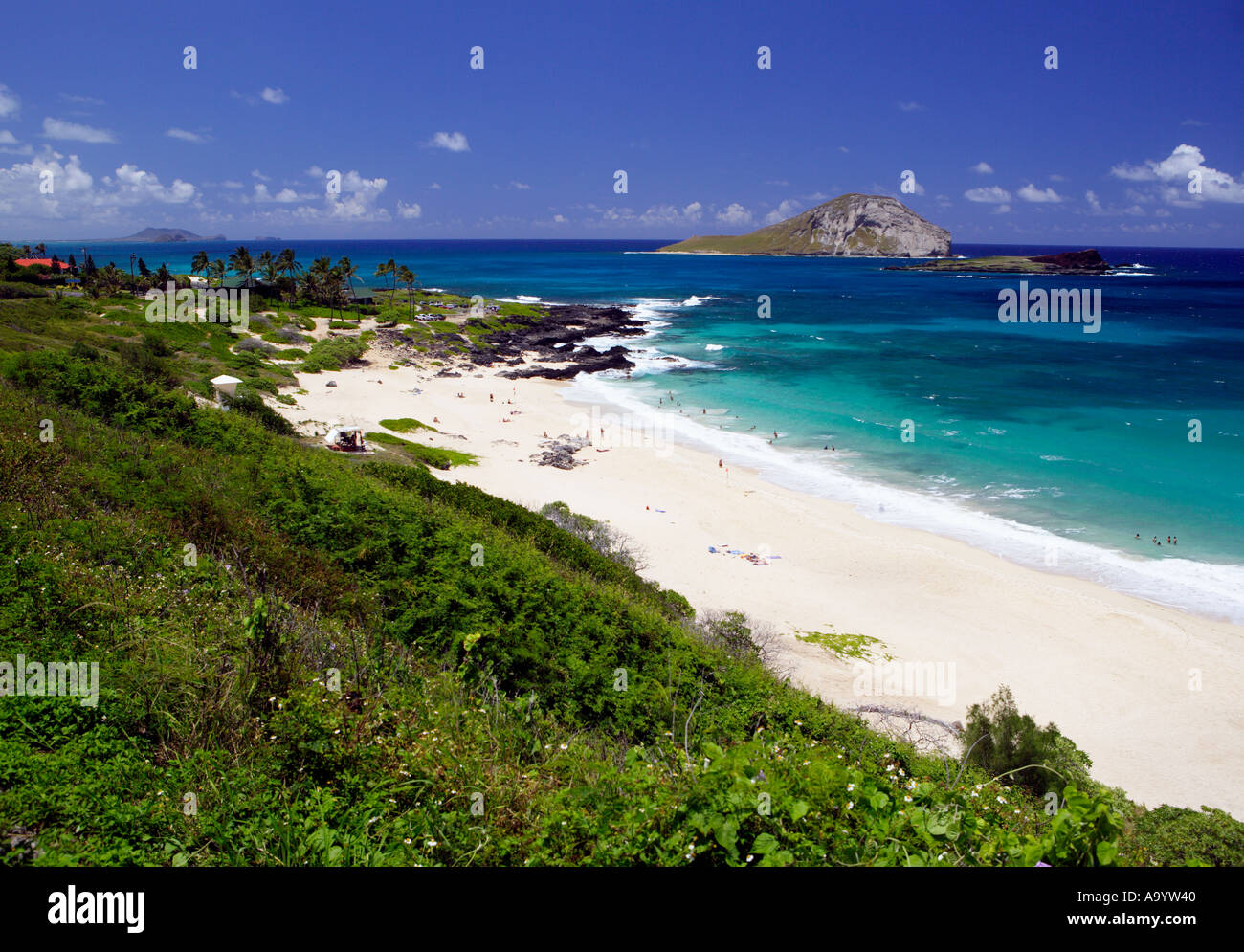 beach oahu rabbit island Hawaii Pacific Ocean Stock Photo - Alamy