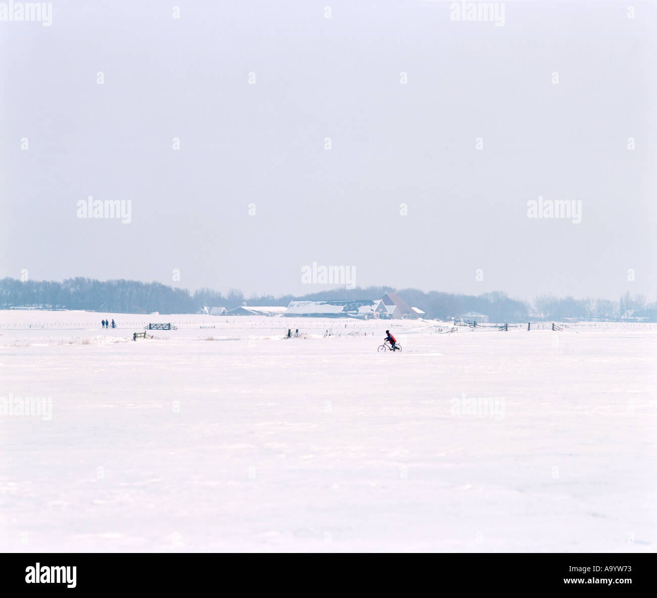Winter scene in Friesland, The Netherlands Stock Photo - Alamy