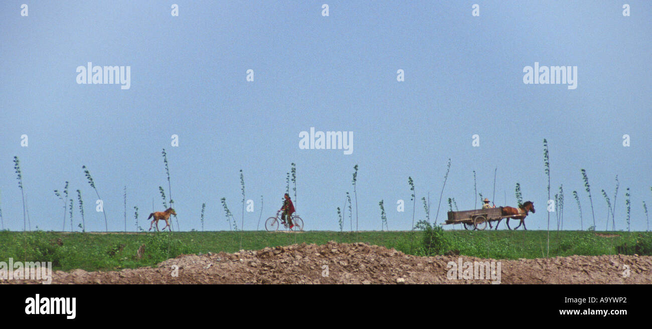 Yellow river china dike hi-res stock photography and images - Alamy