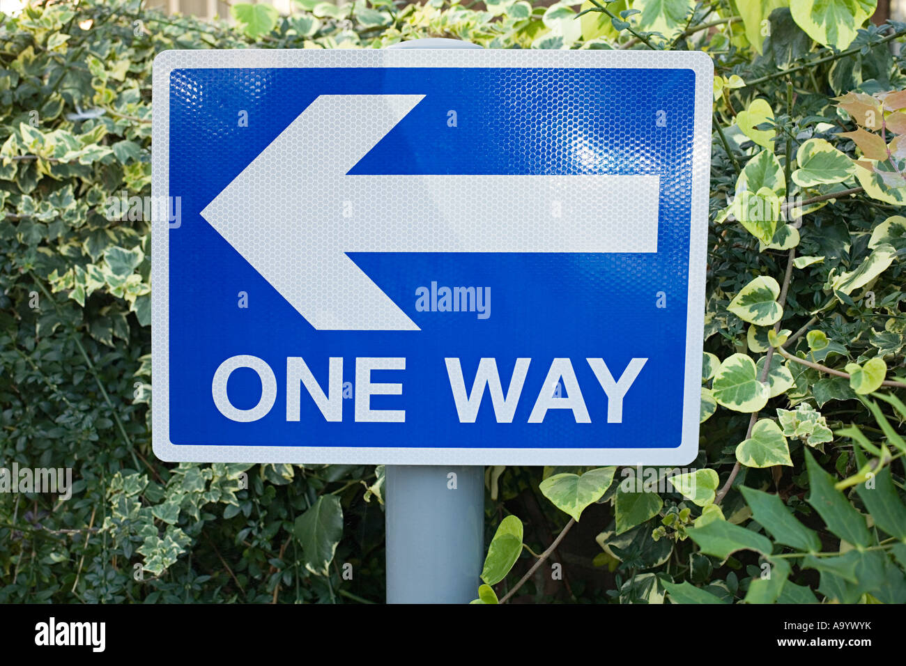 One way sign Stock Photo - Alamy