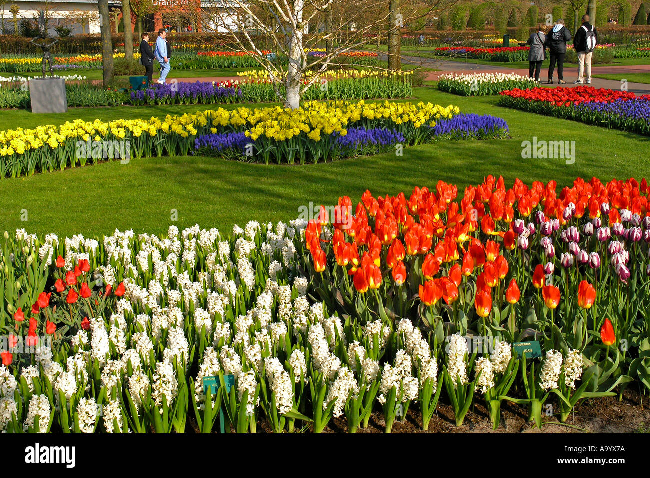 Keukenhof gardens in Lisse Netherlands Stock Photo - Alamy