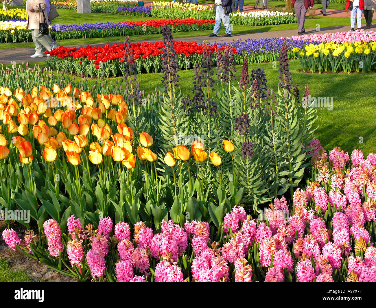 Keukenhof gardens in Lisse Netherlands Stock Photo - Alamy