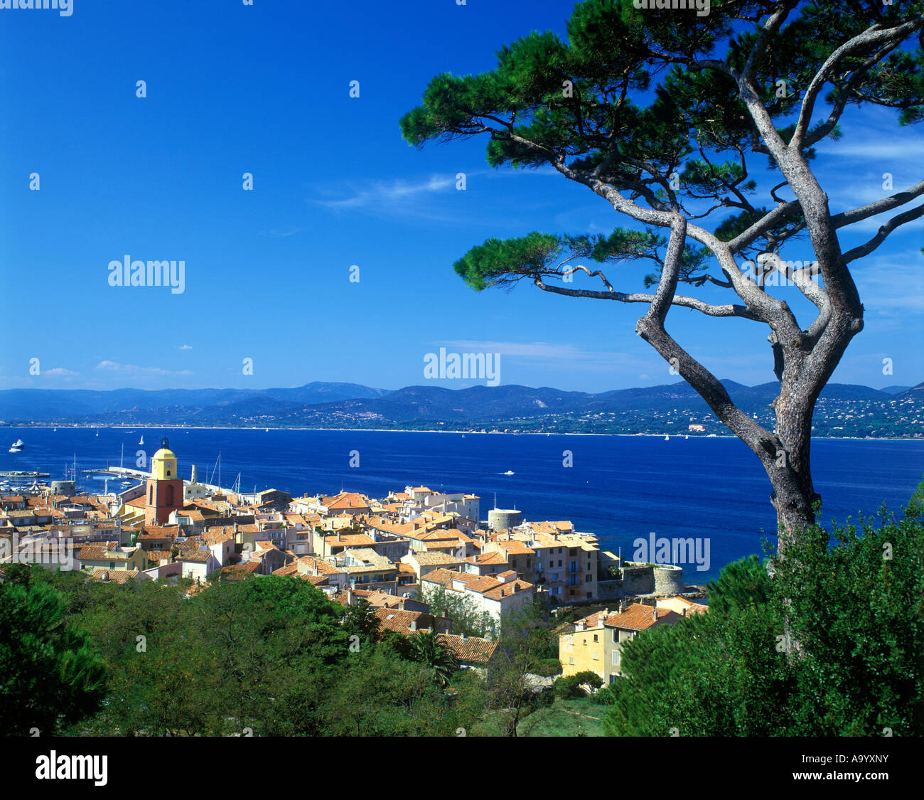 SAINT TROPEZ SKYLINE COTE D AZUR RIVIERA COASTLINE VAR FRANCE Stock ...