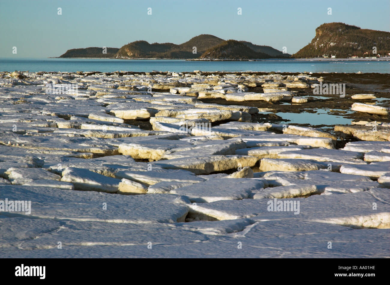 The tiny harbour of Ste Fabienne in Gaspesie blocked by pack ice in mid ...