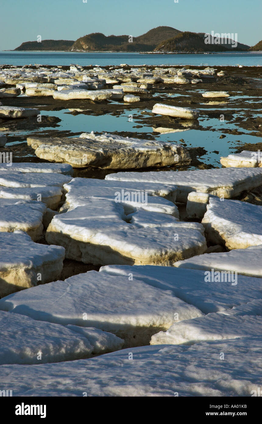 The tiny harbour of Ste Fabienne in Gaspesie blocked by pack ice in mid ...