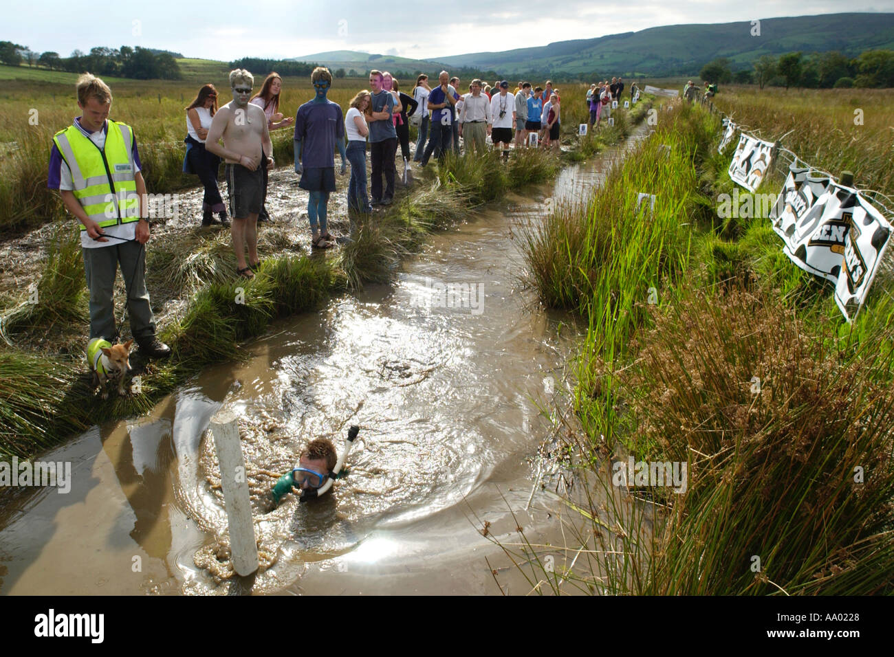 The Bog Snorkeling High Resolution Stock Photography and Images - Alamy