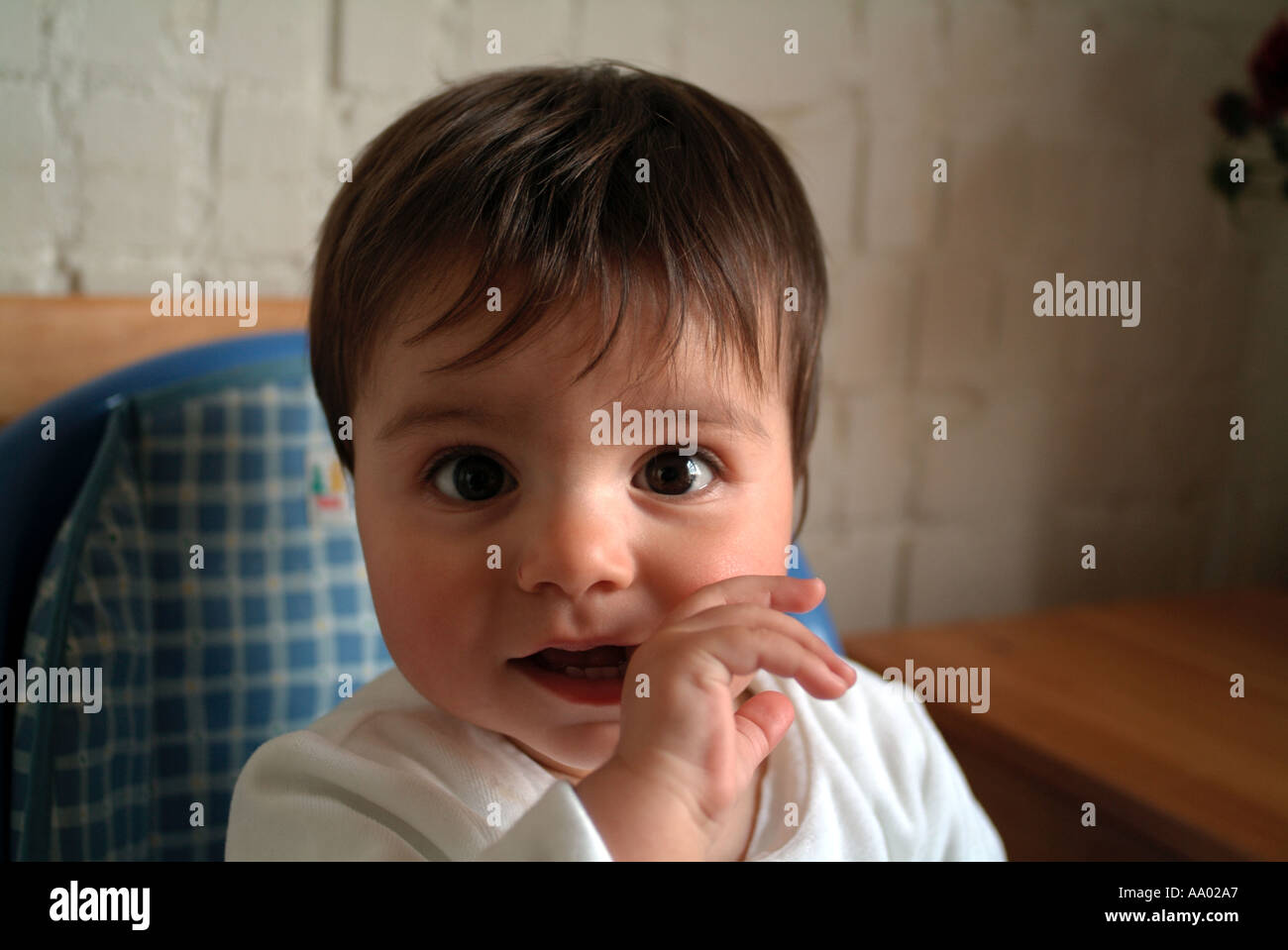 toddler munching on her hand Stock Photo - Alamy