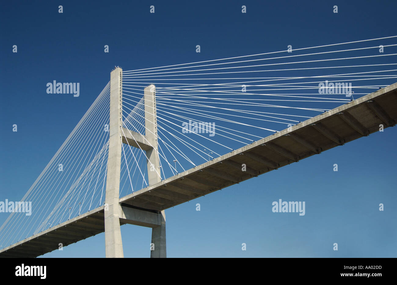 The Savannah River Bridge spanning the Savannah River in Georgia, USA ...