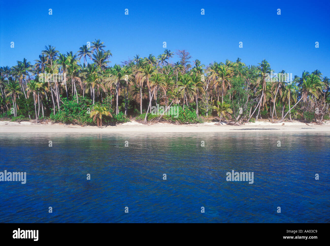 Fiji beach palm trees hi-res stock photography and images - Alamy