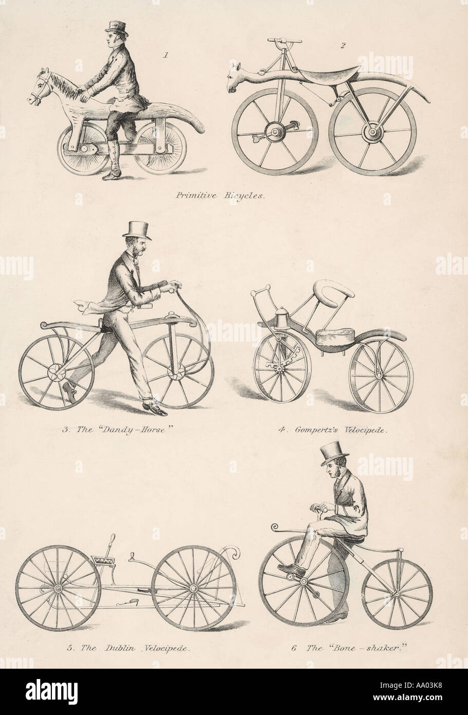 Early varieties hi-res stock photography and images - Alamy